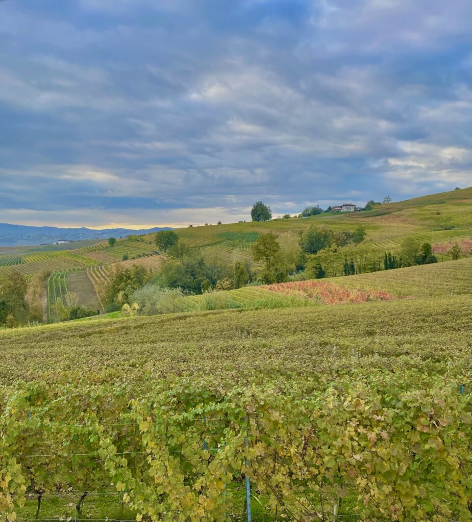 Travel - Castello Verduno - Piemonte - Italian Soil