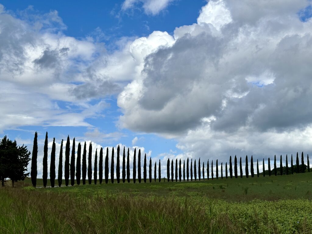 Travel - Montalcino - Toscana - Italian Soil