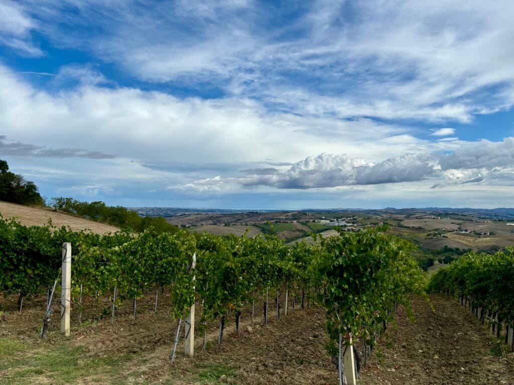 Travel - Cimarelli - Marche - Italian Soil