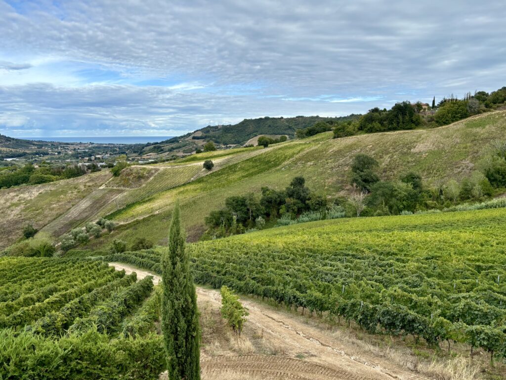 Travel - NU MA - Marche - Italian Soil