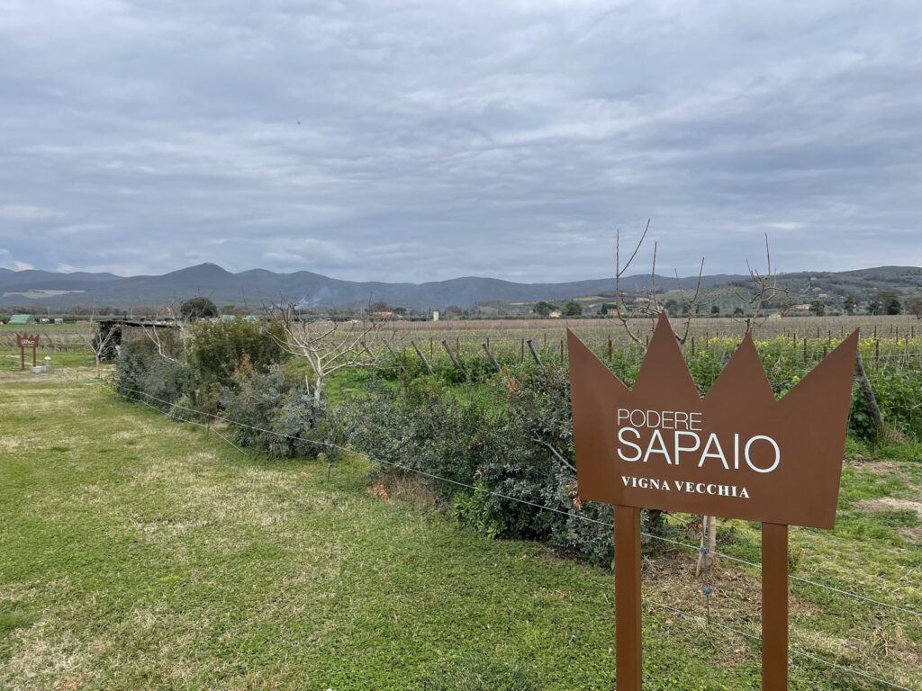 Travel - Sapaio - Toscana - Italian Soil